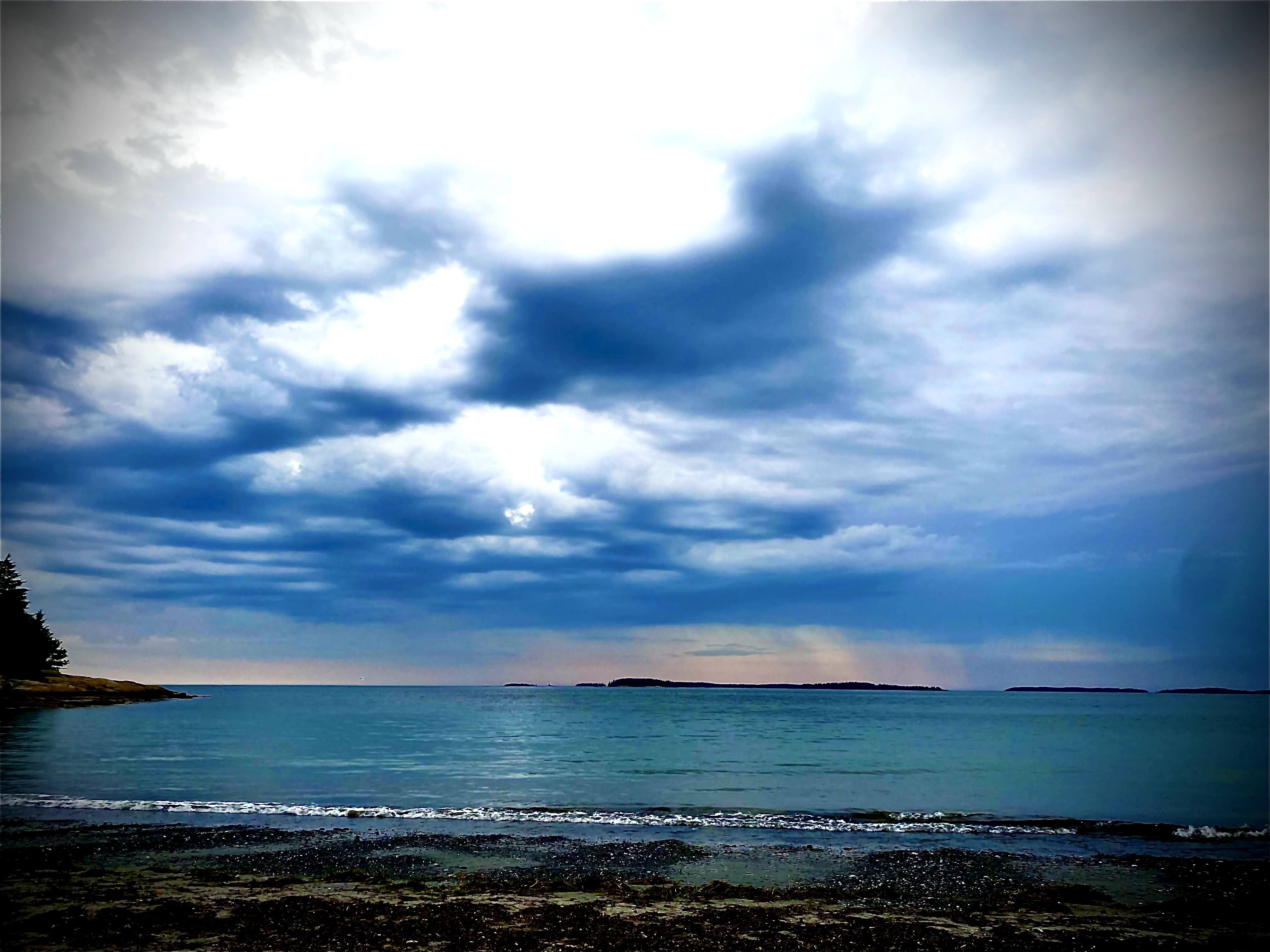 Dear Past Me, – Roar louder than your demons